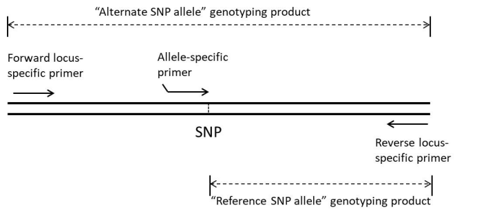 利用二代测序进行基因组高同源区段序列分析的挑战及应对_化工仪器网