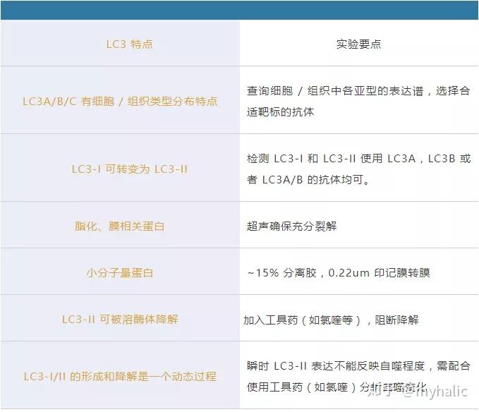 盘下这 7 点，自噬研究中检测 LC3 岂会那么难？！ - 知乎