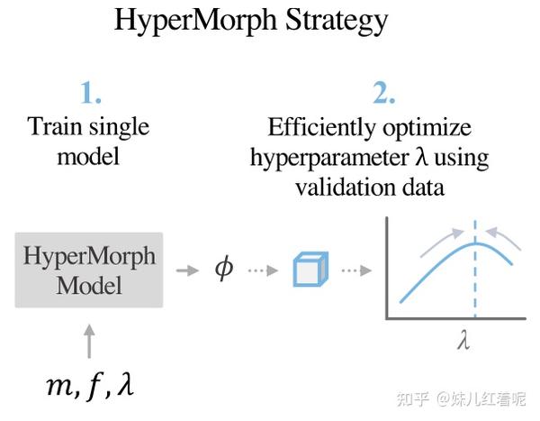 以小见大——Hypermorph，更好地在配准任务中摊销损失超参数搜索上的成本 - 知乎