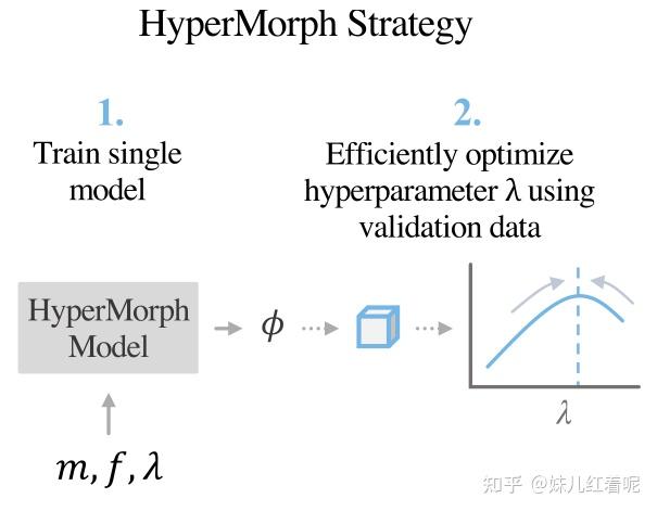 以小见大——Hypermorph，更好地在配准任务中摊销损失超参数搜索上的成本 - 知乎