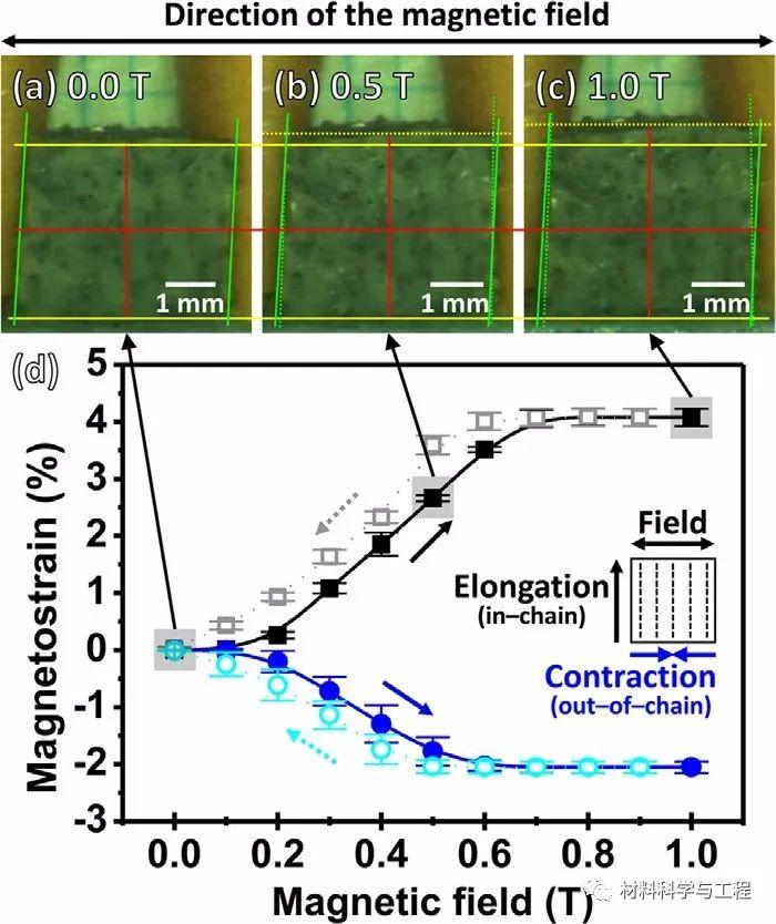 《Scripta Mater》：铁磁形状记忆合金/硅基复合材料的大磁致应变！ - 知乎