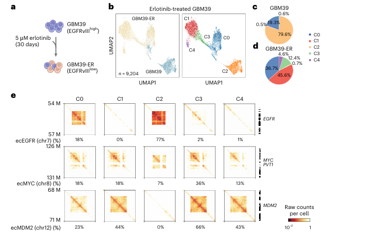 ecDNA与HSR信号可以被Droplet-HiC技术区分检测 - 知乎