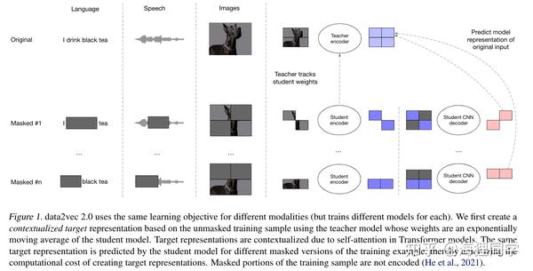 data2vec2.0论文阅读笔记 - 知乎