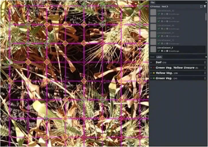 SegVeg:基于深浅层融合法分割植被RGB图像的绿色和衰老部分 - 知乎