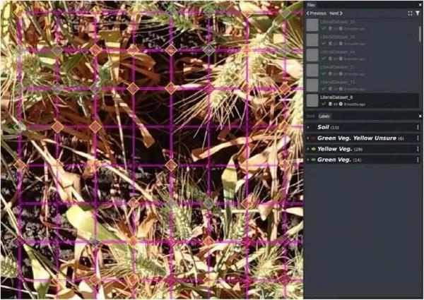 SegVeg:基于深浅层融合法分割植被RGB图像的绿色和衰老部分 - 知乎