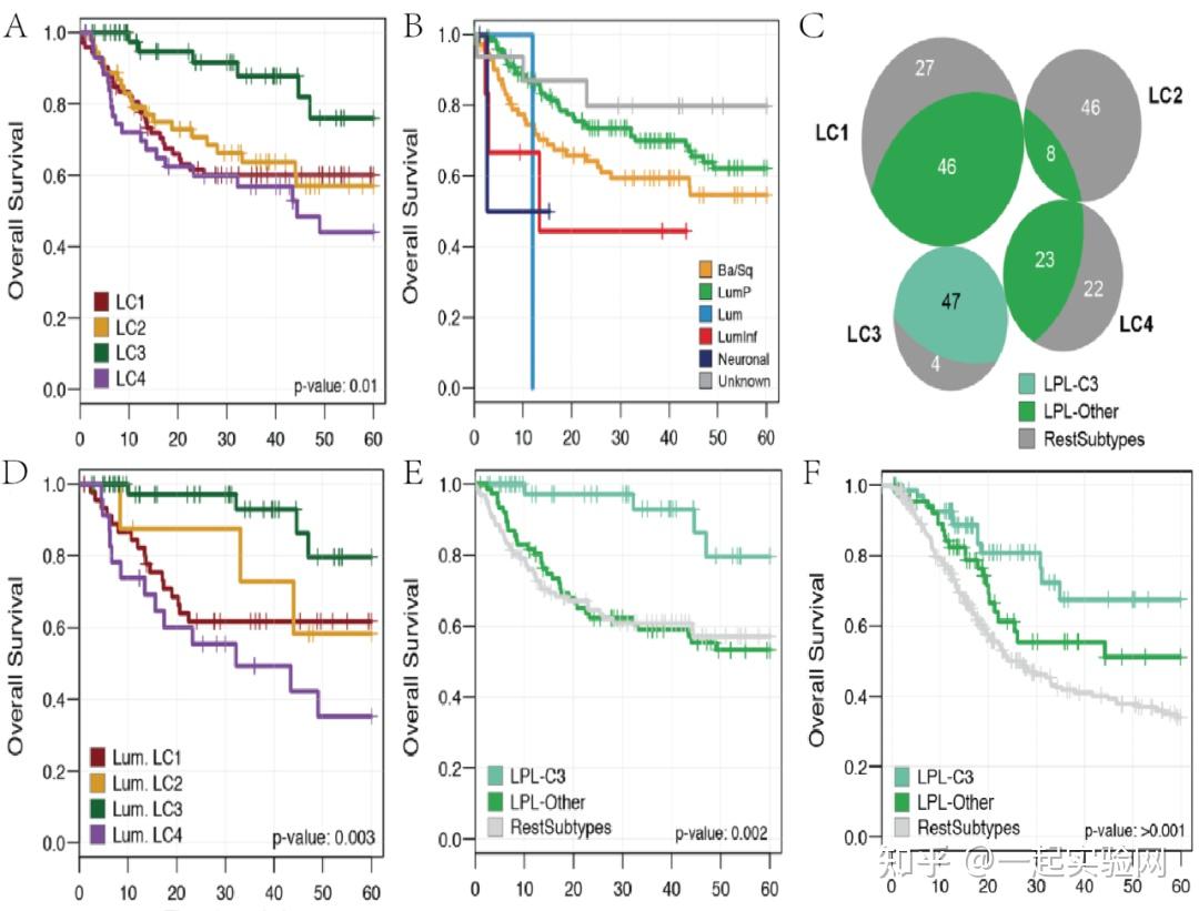 长非编码RNA识别出一组预后良好的管腔肌浸润性膀胱癌患者 - 知乎
