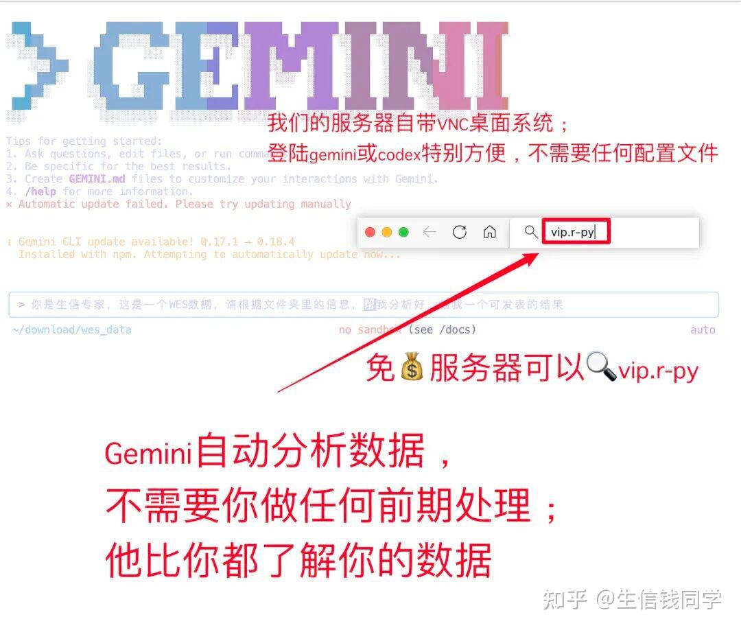 不要担心你不会生信，用Gemini绘图和自动分析数据太方便了，直接上教程 - 知乎