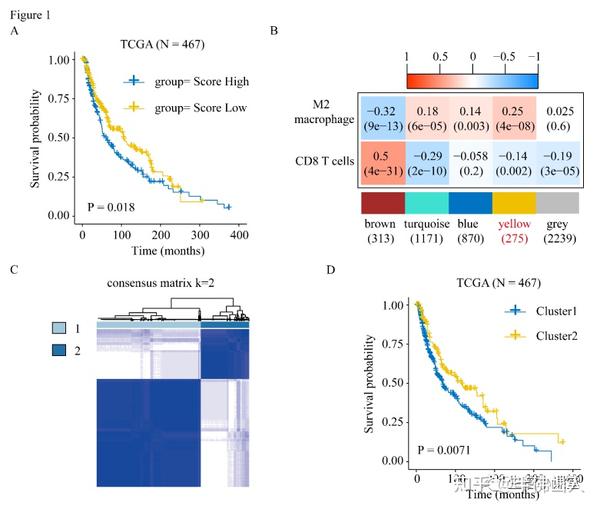 8.4分，基于M2巨噬细胞相关基因的分型文章，可结合单细胞对本文进一步升级！ - 知乎