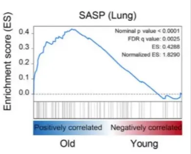 顶刊绘图系列｜GSEA富集 - 知乎