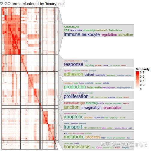simplifyEnrichment简化富集分析结果 - 知乎