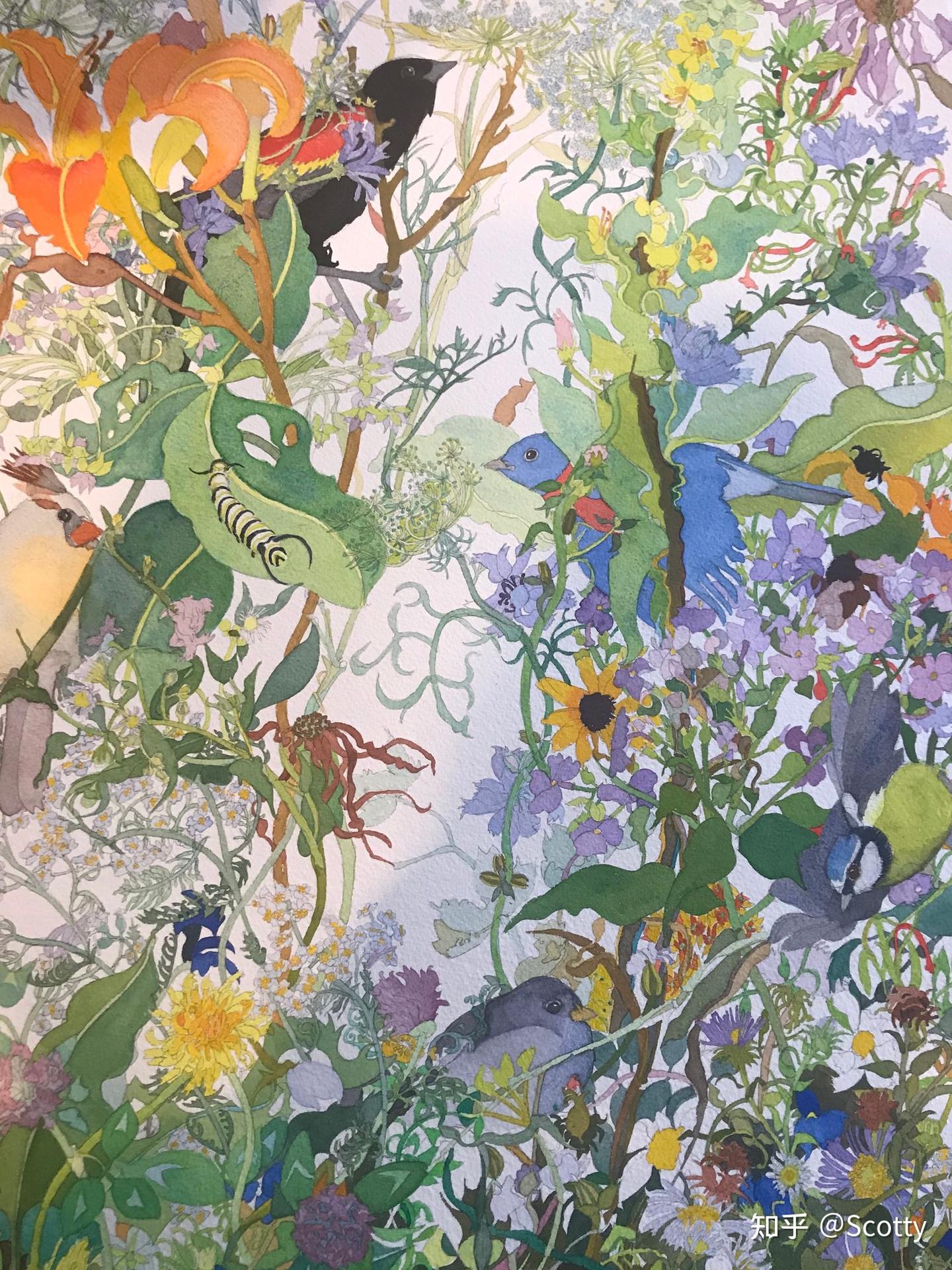 艺术推荐day56：Joan Becker - 知乎