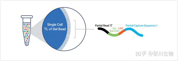 FFPE单细胞测序是什么？如何挽救冻存样本？ - 知乎
