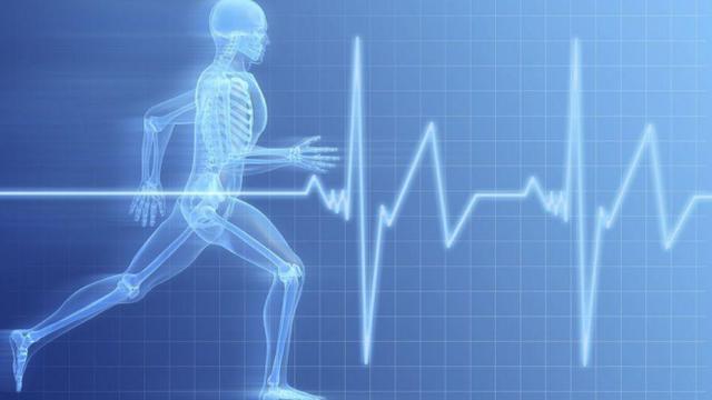 你真的了解MAF180训练法吗？ - 知乎