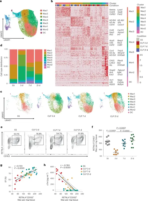 Nature Metabolism（IF：19.865）|RayBio抗体芯片助力脓毒症疾病发展机制研究 - 知乎