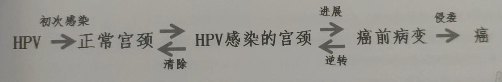 宫颈cin解读 知乎