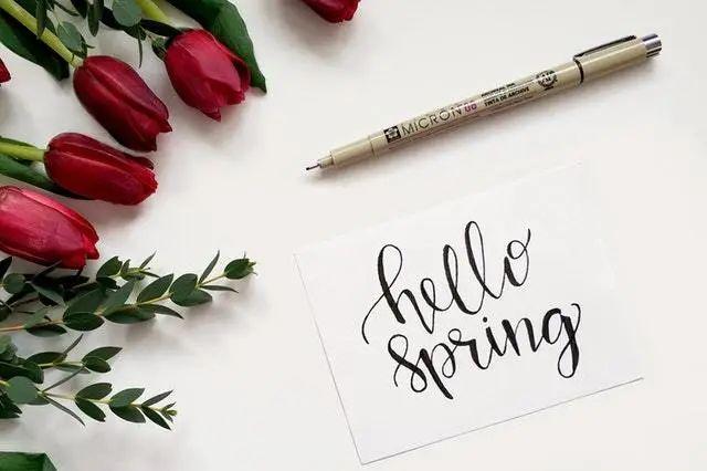 除了春天，没想到spring还有这个意思！ - 知乎