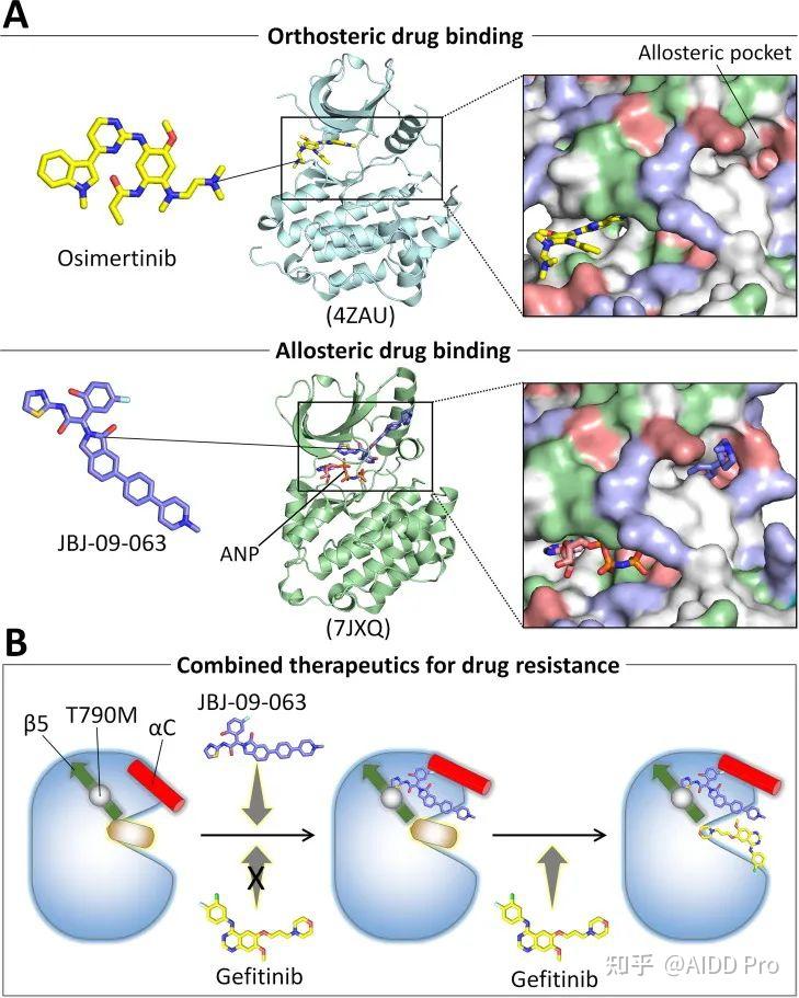 AlphaFold、变构和正构药物发现：前进之路 - 知乎