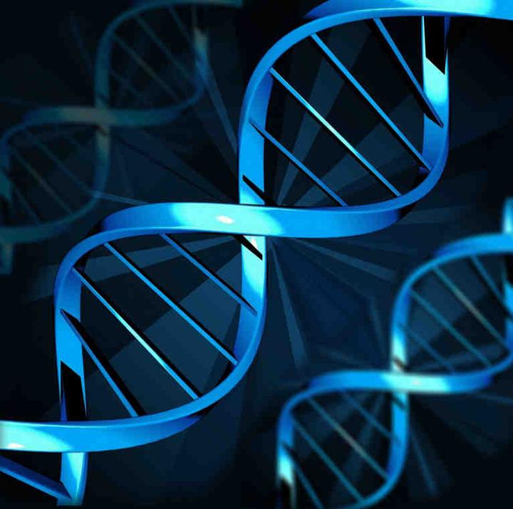 Rna Seq分析流程 知乎