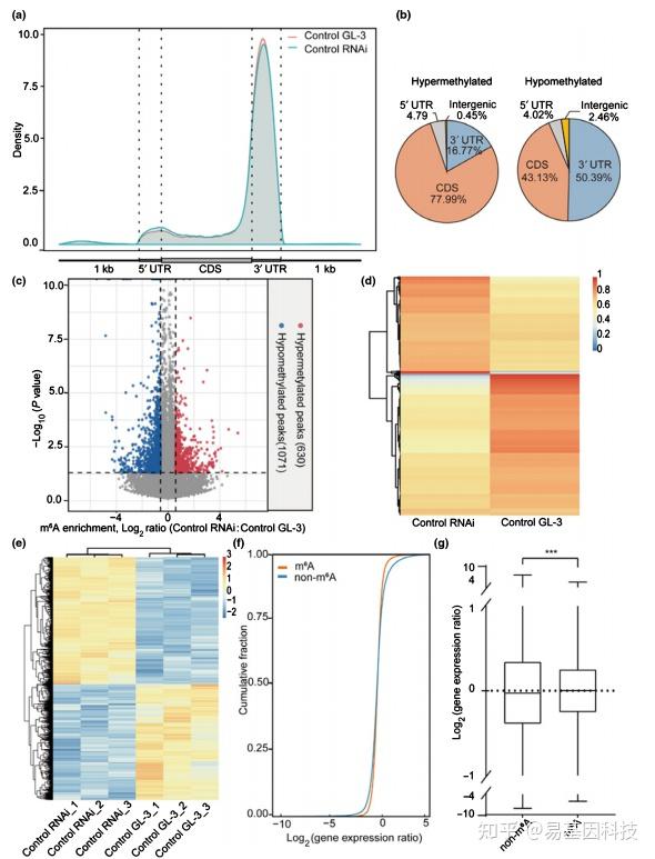 作物育种：MdMTA介导的RNA甲基化(m6A修饰)在苹果抗逆品种选育中的作用研究 - 知乎