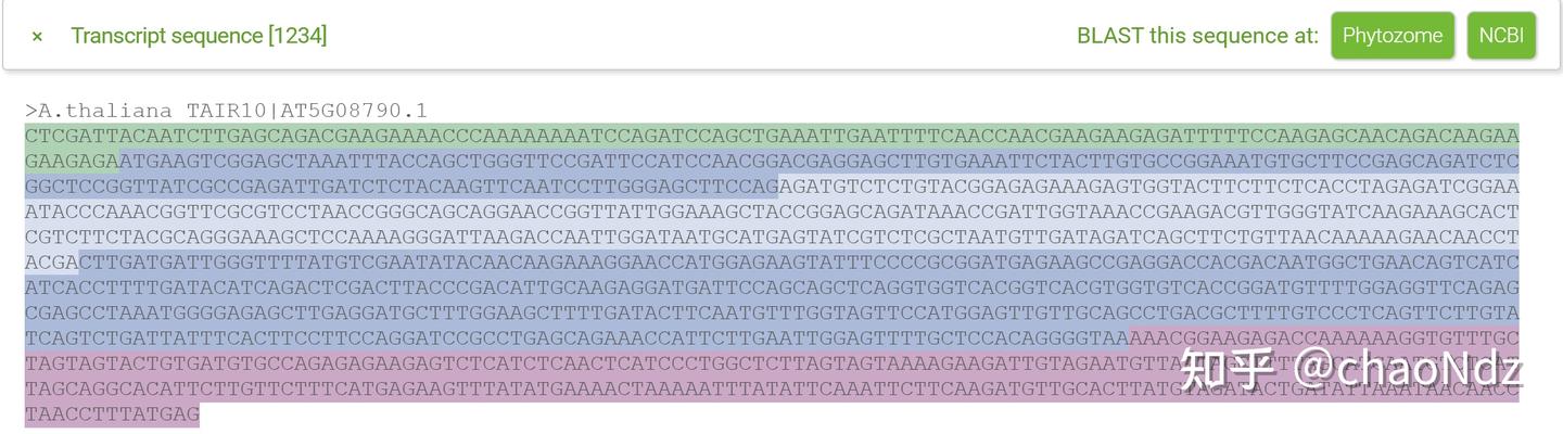 第2期：gene序列、mRNA序列和CDS序列傻傻分不清楚？！gene ≥ mRNA ≥ CDS，它们是从属关系！ - 知乎