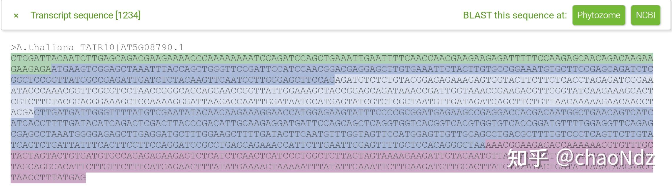 第2期：gene序列、mRNA序列和CDS序列傻傻分不清楚？！gene ≥ mRNA ≥ CDS，它们是从属关系！ - 知乎