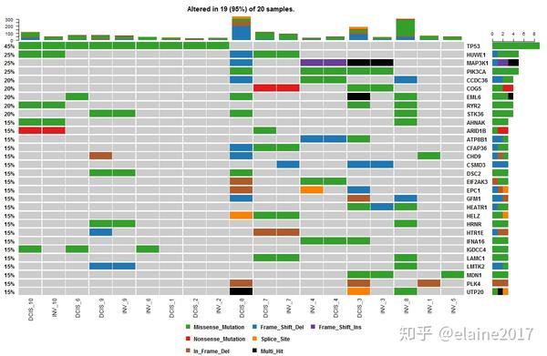 利用maftools分析annovar的注释结果 - 知乎