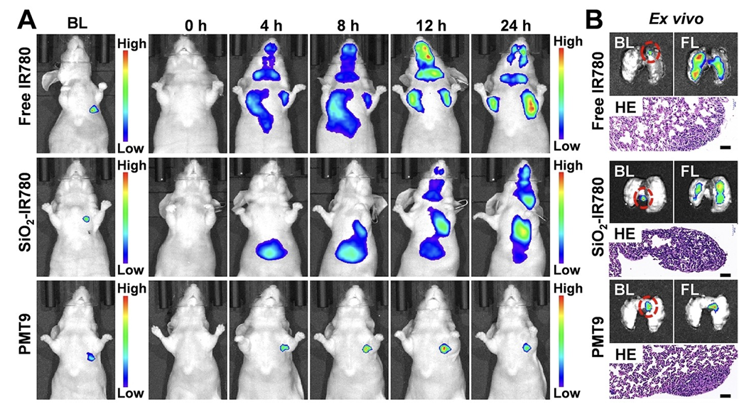IVIS视角 | 活体光学成像助力肿瘤临床前检测 - 知乎