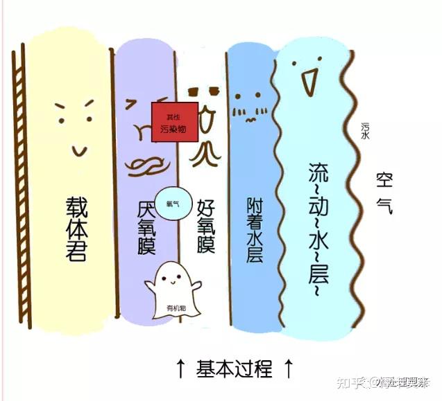 图文详解 | 国内主流污水处理工艺（ 氧化沟、AO、A2O、活性污泥法、SBR工艺、生物膜法） - 知乎