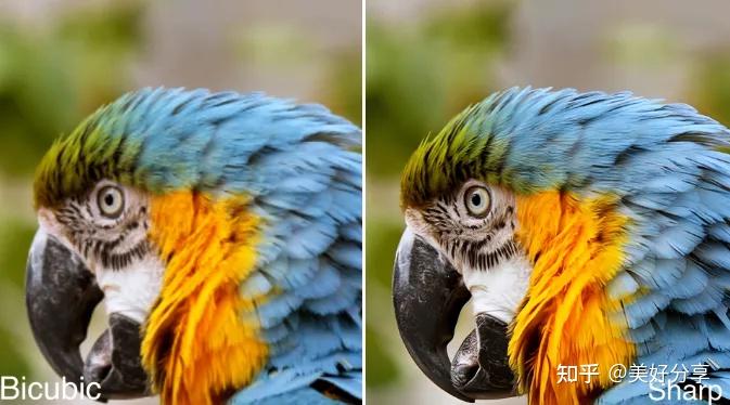 人工智能AI无损放大视频AE/PR插件ScaleUP安装使用技巧 - 知乎