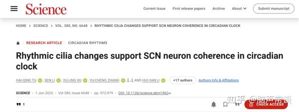 Science | 生物钟研究新进展！军事医学研究院李慧艳和张学敏团队发现大脑SCN神经元的初级纤毛是调控机体节律的细胞器 - 知乎