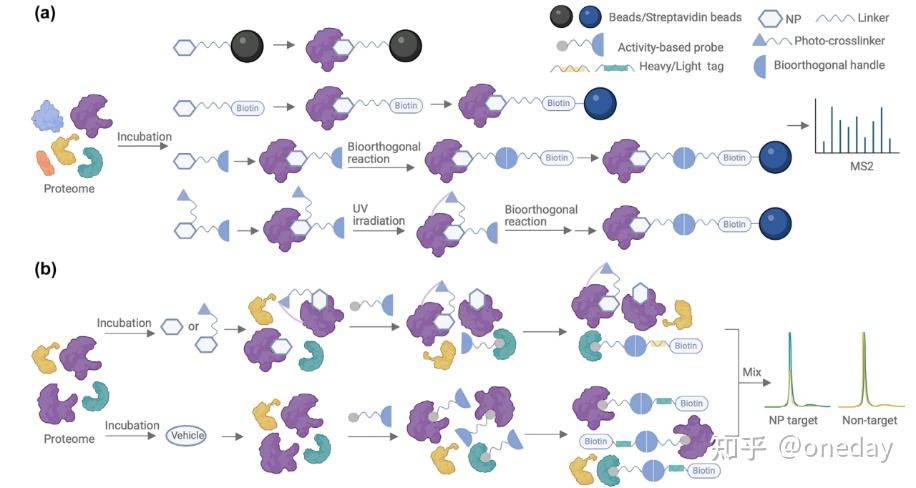 药物靶点筛选：从传统方法到前沿技术 - 知乎