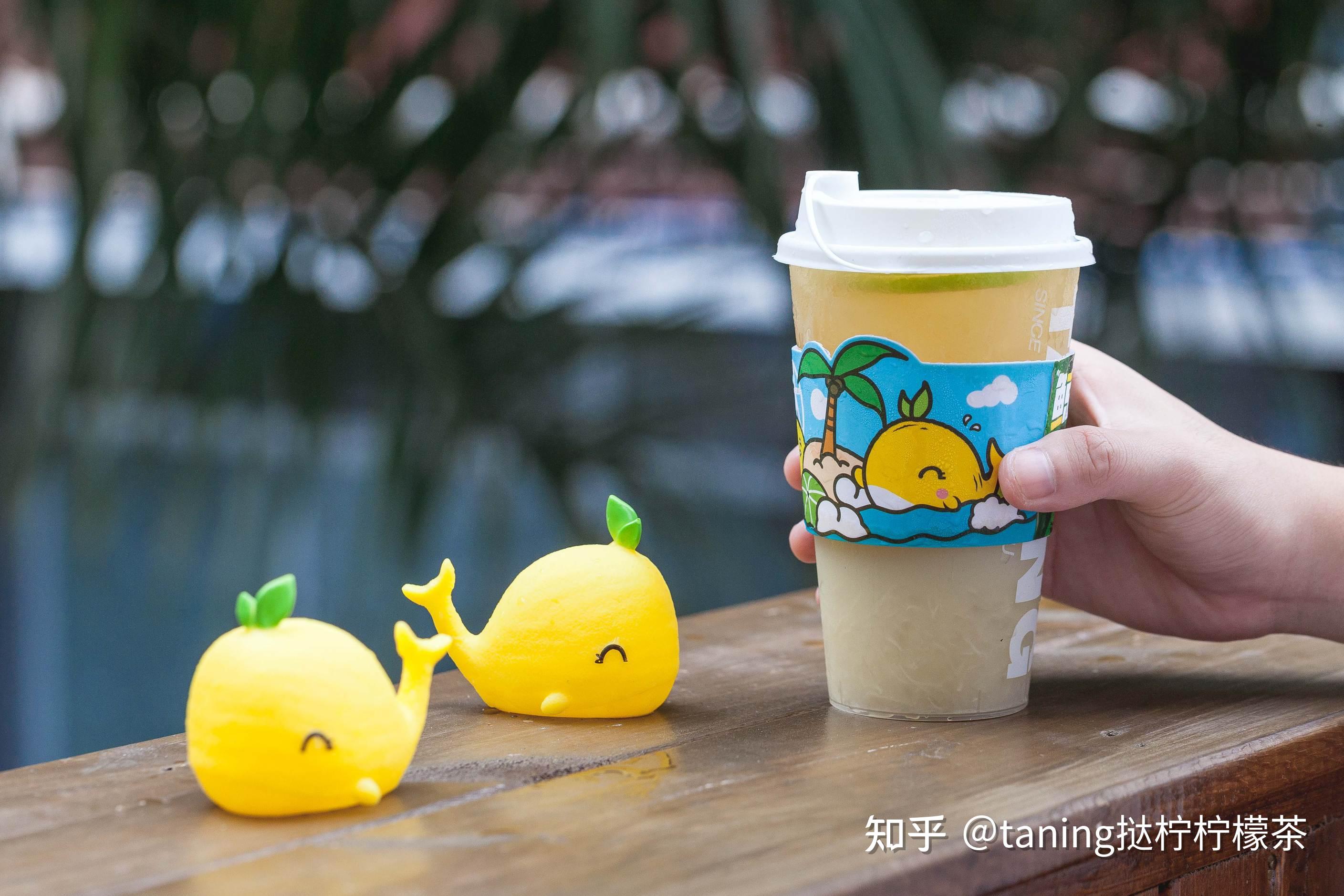 柠檬茶品牌TANING挞柠发布全新IP形象，“柠檬鲸”鲜活亮相结交柠檬精 - 知乎