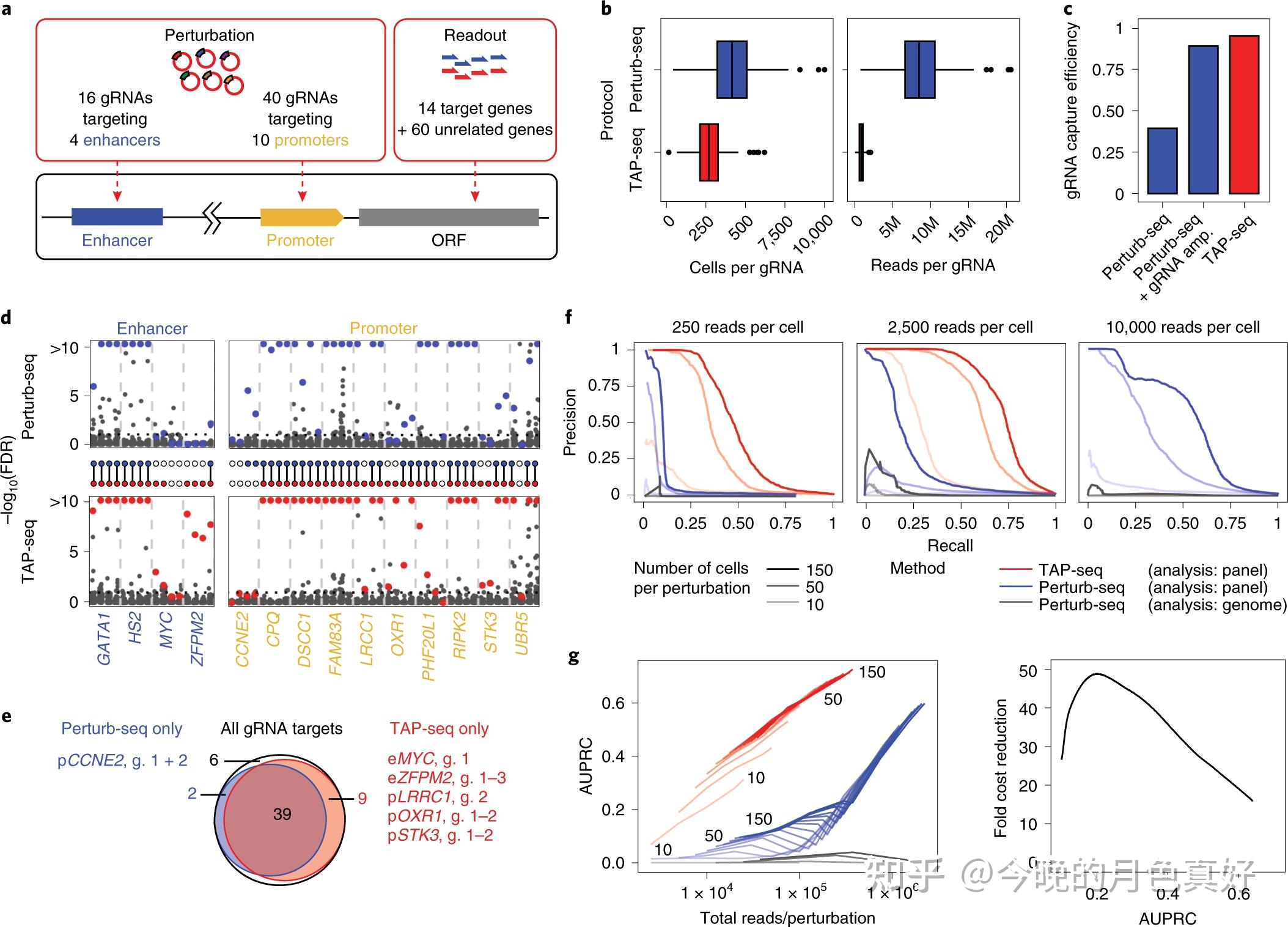 Targeted Perturb-seq enables genome-scale genetic screens in single ...