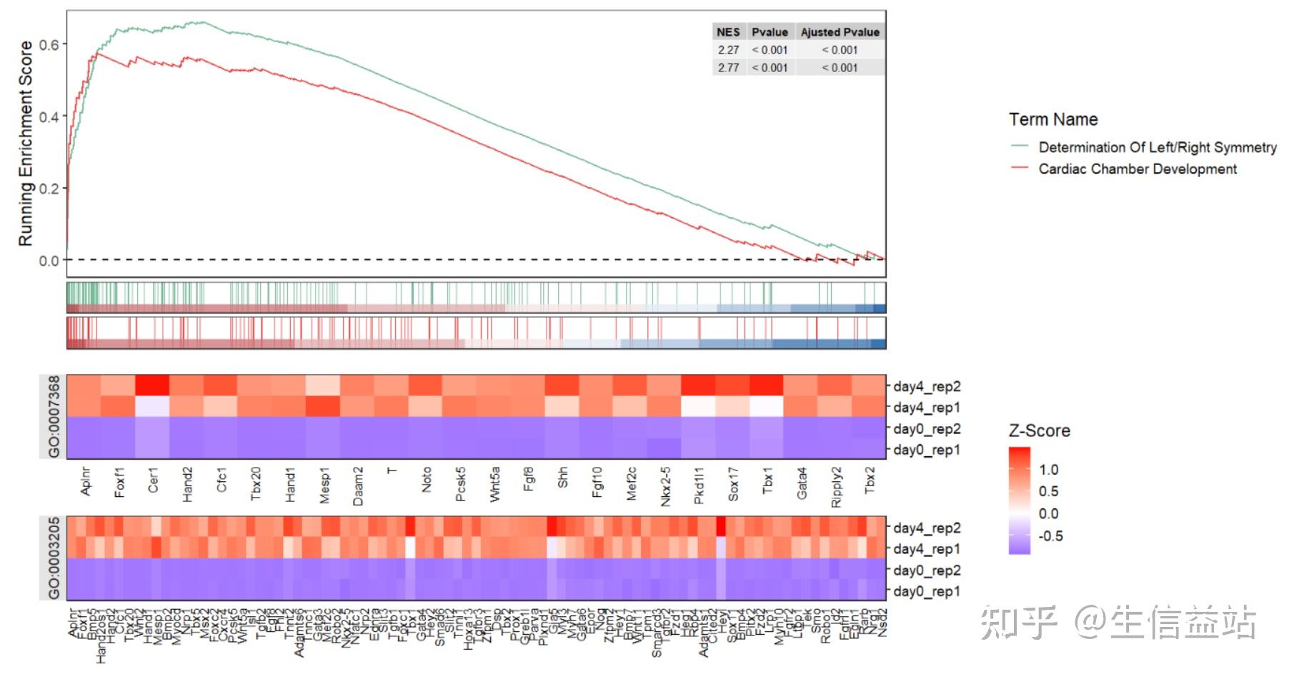 高分文章呼唤高颜值的GSEA可视化方式 - 知乎