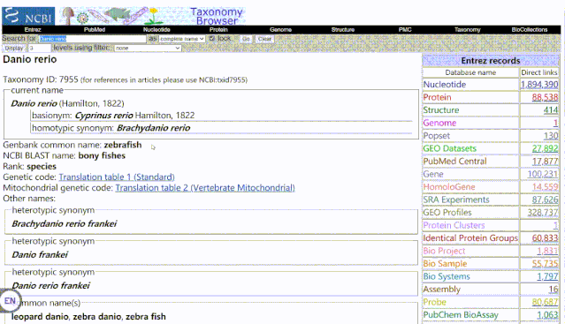7款物种分类（进化树地位）信息检索工具使用方法 - 知乎