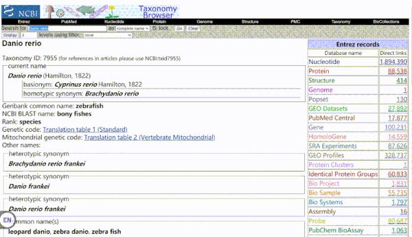 7款物种分类（进化树地位）信息检索工具使用方法 - 知乎