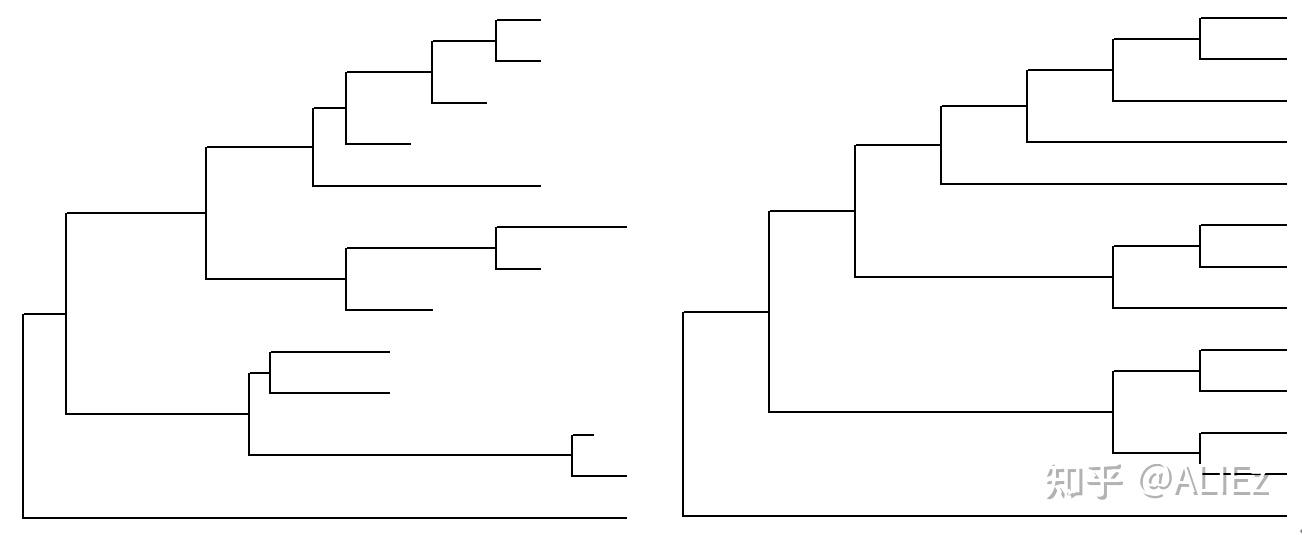 R语言绘制进化树：treeio+ggtree - 知乎
