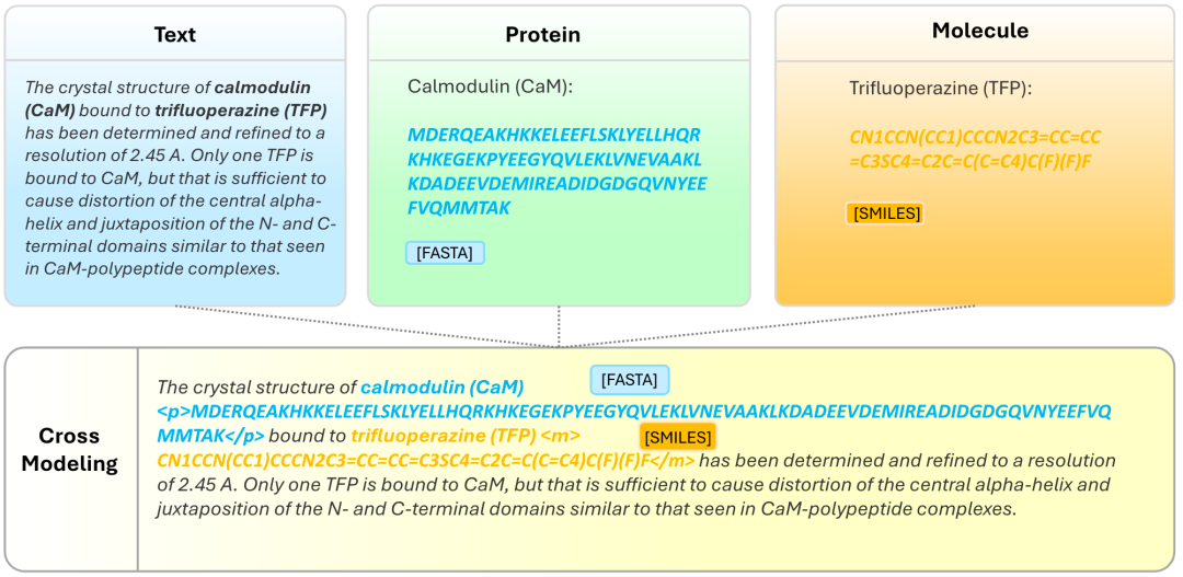 AI4Science与LLM的碰撞：生物分子+文本的联合建模，人大高瓴、微软、华科、中科大团队最新综述 - 知乎