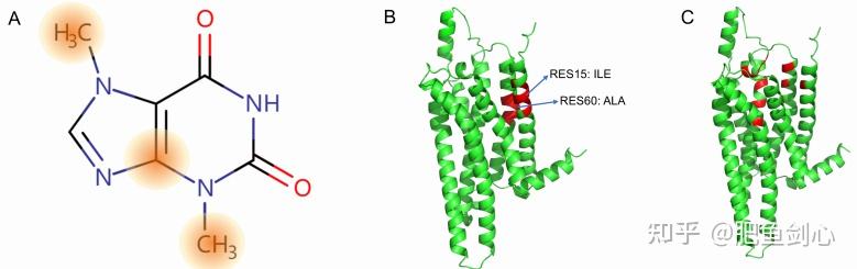 论文笔记34|GraphormerDTI A graph transformer-based approach for drug-target interaction prediction - 知乎