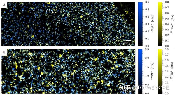 LA-ICP-TOF定量分析单细胞中抗癌药顺铂及成像 - 知乎