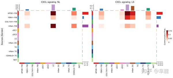 CellChat细胞通讯分析（下）--实操代码·多个数据集比较分析 - 知乎