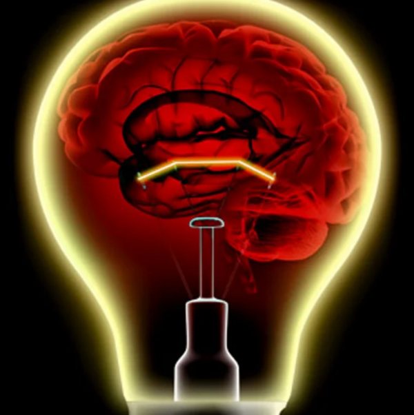 大脑燃烧卡路里? - 知乎