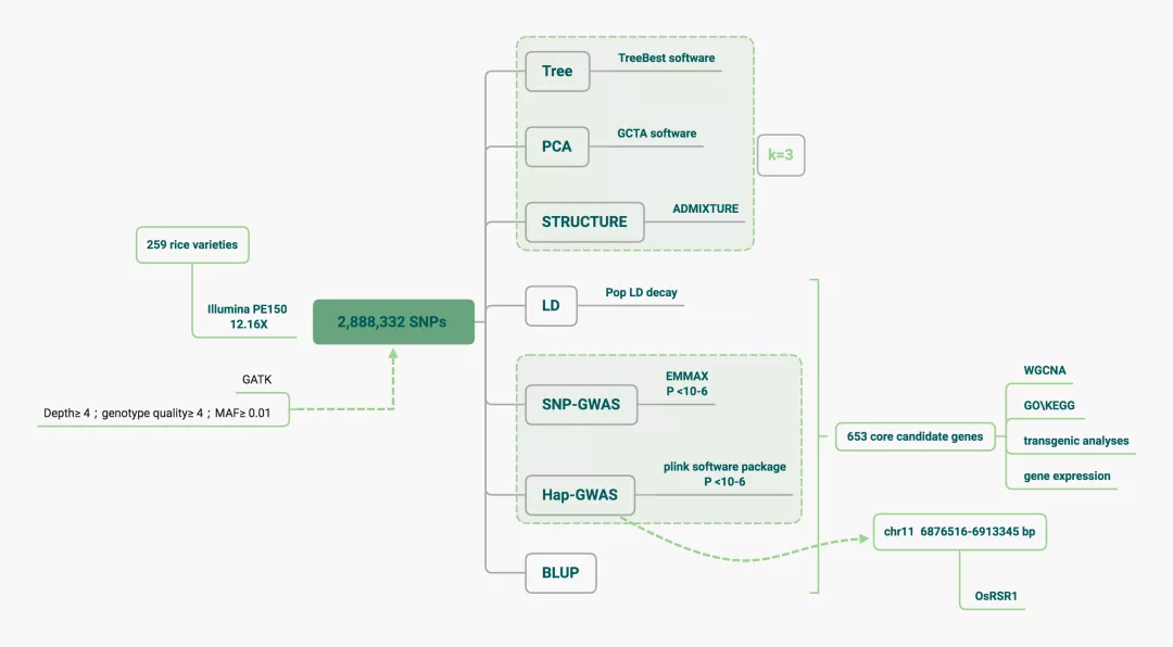 多策略GWAS分析，不只有SNP - 知乎