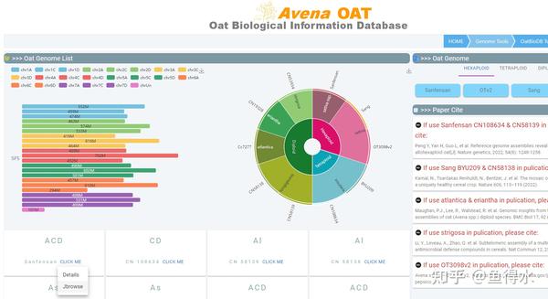 燕麦基因组浏览器Jbrowse2的在线使用 - 知乎