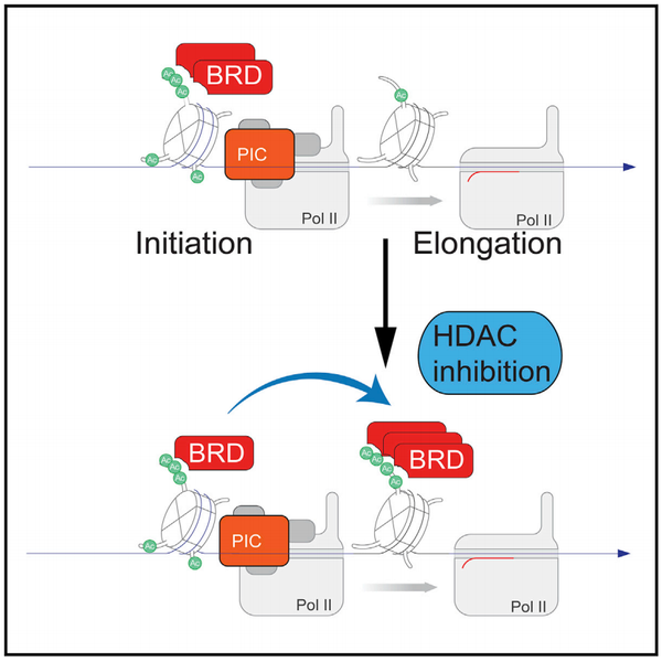 Cell Reports｜蛋白质组学揭示HDAC抑制剂的全局性调控机制 - 知乎