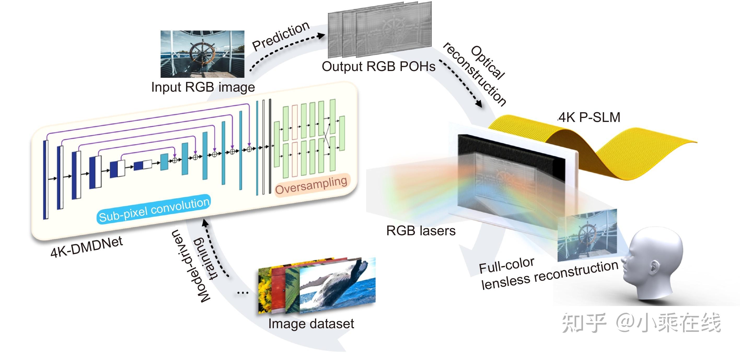 4K-DMDNet: diffraction model-driven network for 4K computer-generated ...