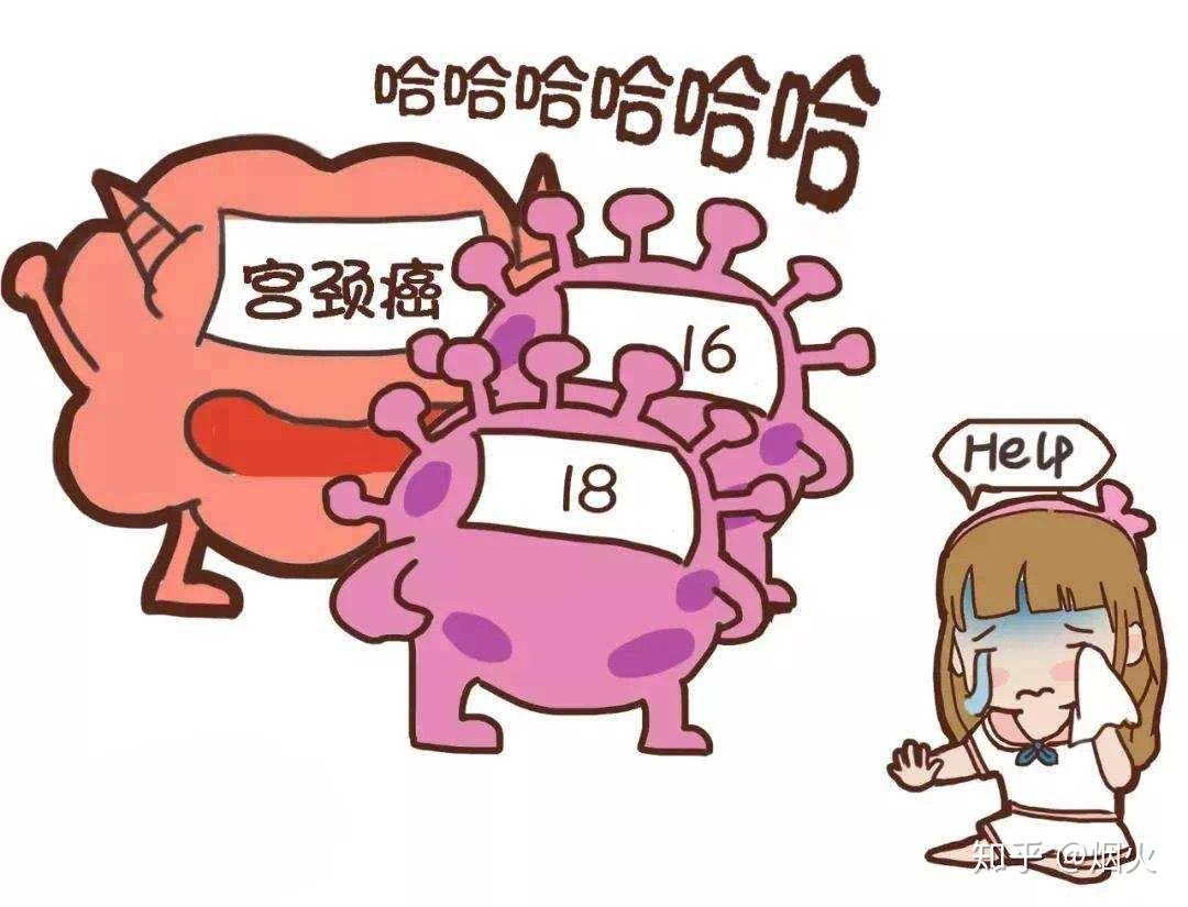 Hpv你了解多少呢?关于hpv你想知道的都在这里,不容错过! 知乎
