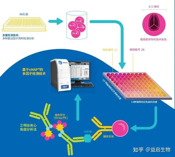 单孔实现几十种蛋白检测的MILLIPLEX®技术是如何做到的？ - 知乎