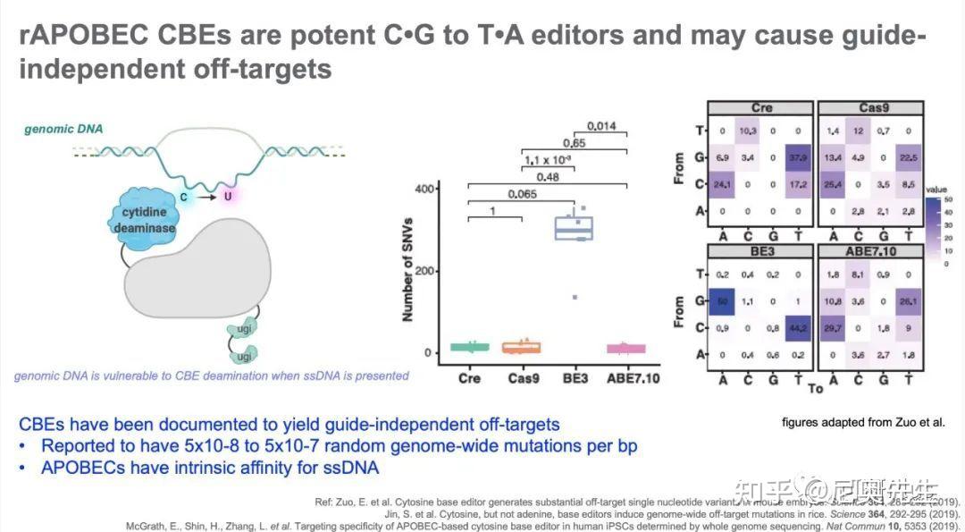 CBE-T：TadA介导的下一代CBE编辑器 - 知乎