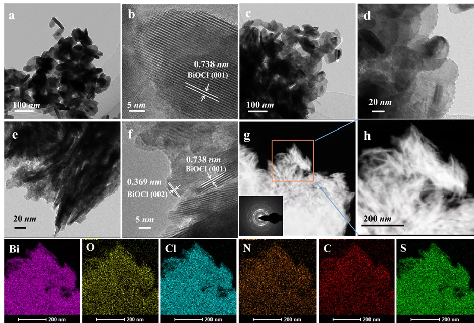 氧空位诱导窄带隙的BiOCl用双自由基提升可见光催化性能 - 知乎